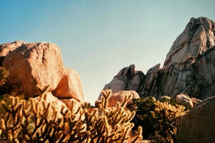 Shifting Light in the Choya - Emagazine.com